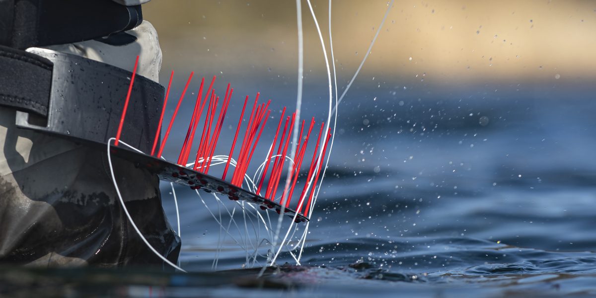 Ahrex Flexi Stripper Blue – Beast Brushes Inc