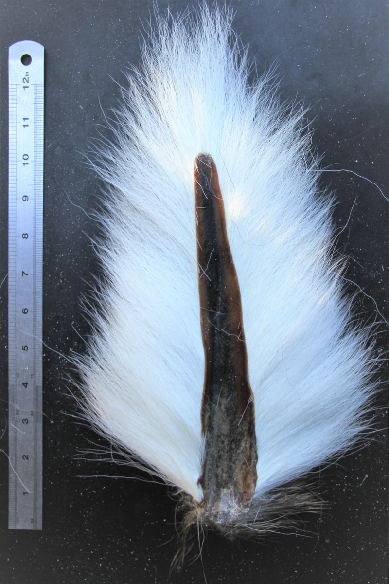 Natural White Bucktail - Deceiver Grade – Beast Brushes Inc