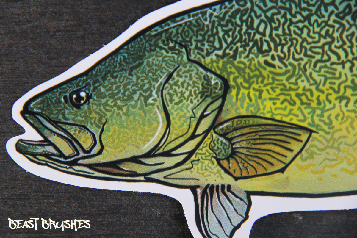 Murray Cod Sticker – Beast Brushes Inc
